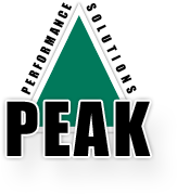 Peak Performance Solutions